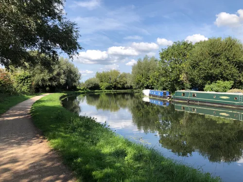 10 Best Trails, Walks, and Paths in Cambridge | AllTrails