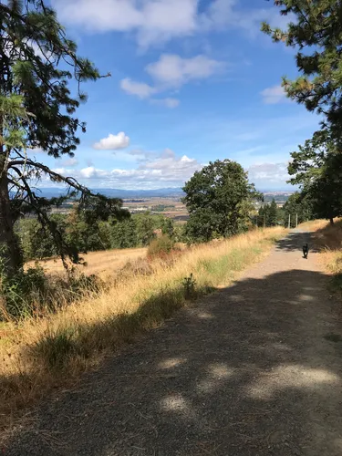 10 Best Trails and Hikes in Eugene | AllTrails