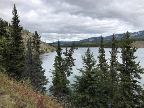 10 Best Trails and Hikes in Whitehorse | AllTrails