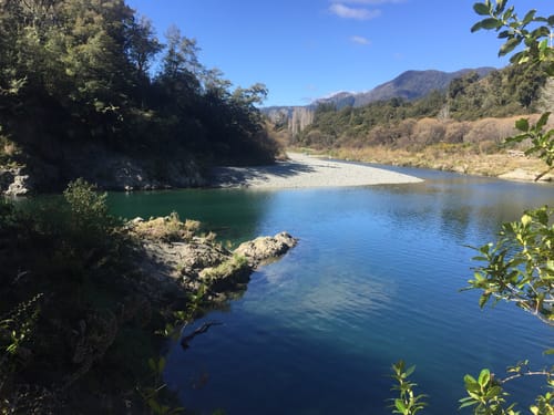 Best Hikes and Trails in Pelorus Bridge Scenic Reserve | AllTrails