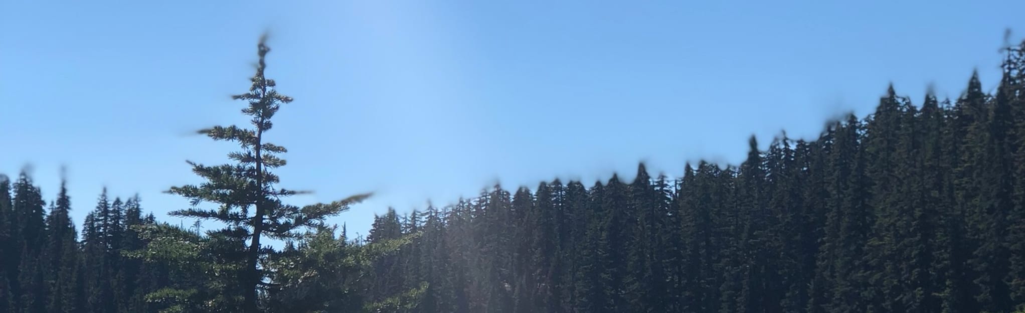 Odell Lake To Marie Lake Trail, 67 Fotos - Oregon | AllTrails