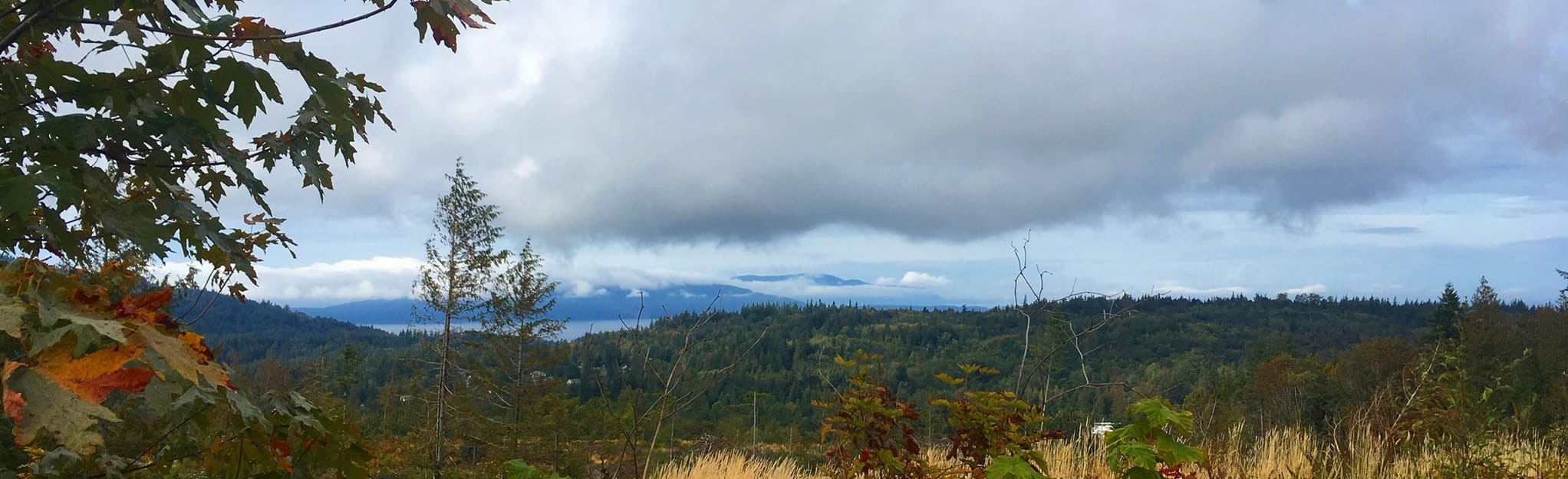 Cedar Dust and Ursa Major Trail, Washington - 110 Reviews, Map | AllTrails