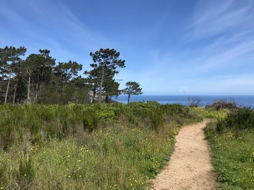 10 Best Kid Friendly Trails in Cape Town | AllTrails