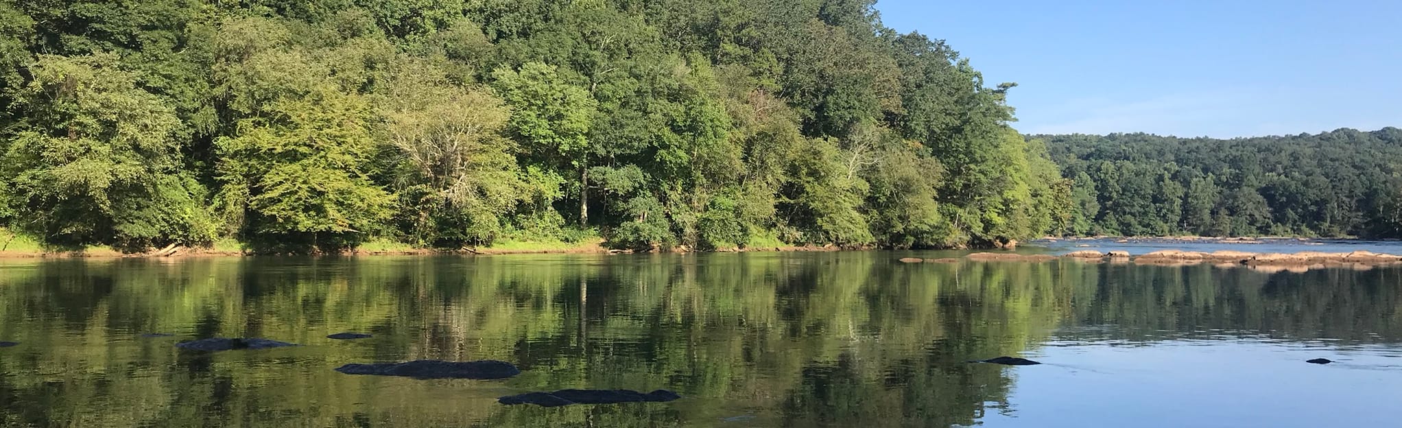 East Palisades Trail and Bamboo Forest: 5,555 Reviews, Map - Georgia ...