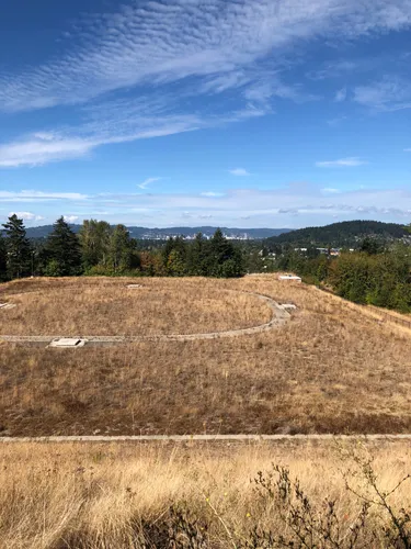 Best Hikes and Trails in Kelly Butte Natural Area | AllTrails