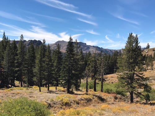 2023 Best 10 Backpacking Trails in Humboldt-Toiyabe National Forest ...