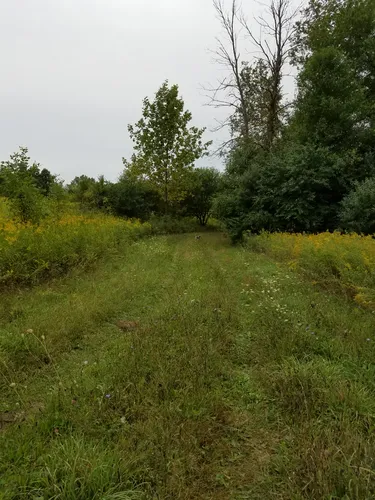 Best Hikes and Trails in Rose Lake State Wildlife Area | AllTrails