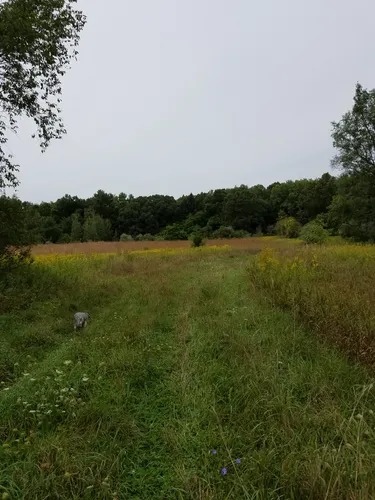 Best Hikes and Trails in Rose Lake State Wildlife Area | AllTrails