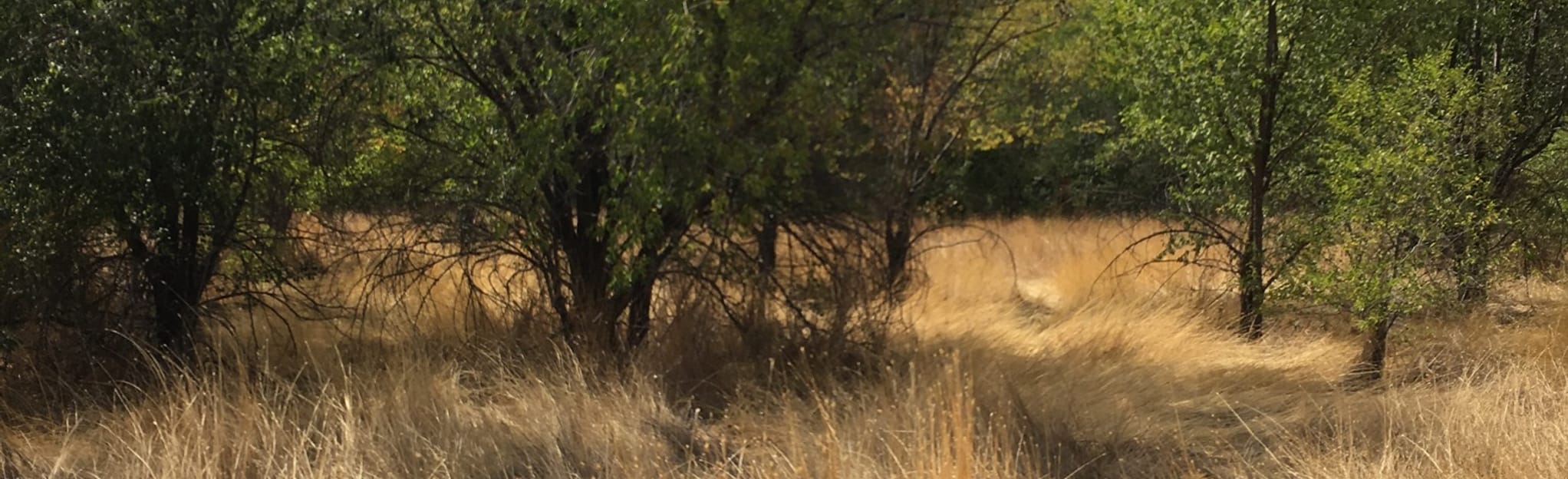 Benton City Walking Path: 17 Reviews, Map - Washington | AllTrails