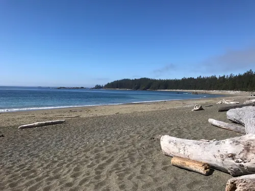 10 Best Bird Watching Trails in Pacific Rim National Park Reserve ...