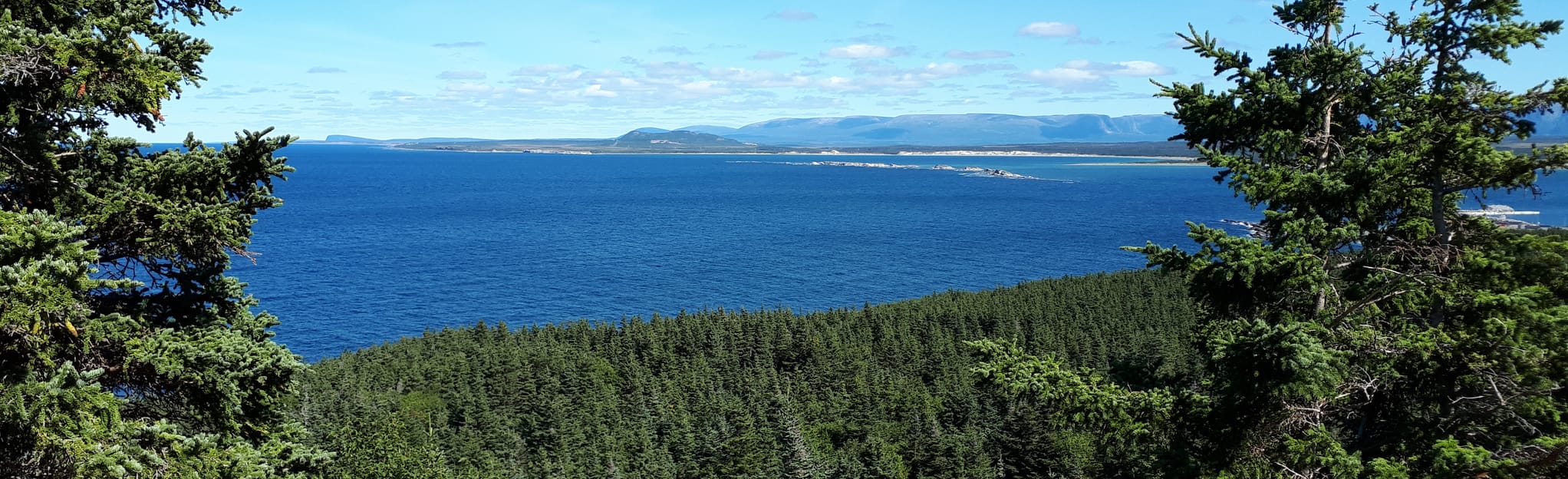 Cow Head Lighthouse Trail, Newfoundland and Labrador, Canada - 128 ...