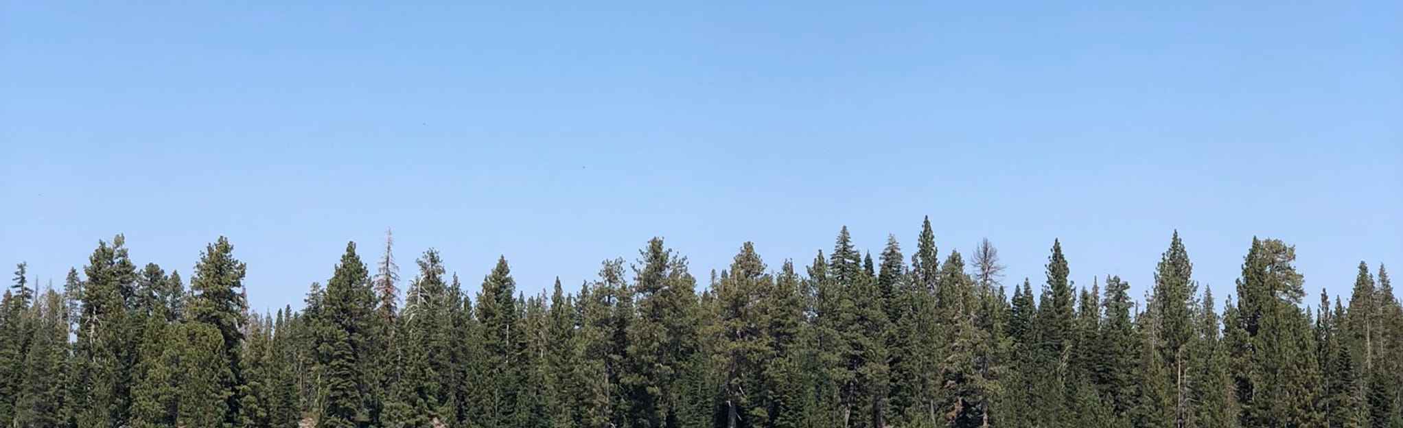 Barrett Lake-Lake Eiler Loop Trail, California - 12 Reviews, Map ...