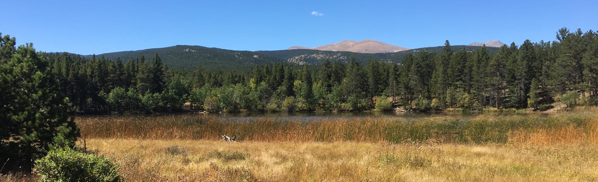 Tungsten and Kinnickinnick Loop at Mud Lake: 644 Reviews, Map ...