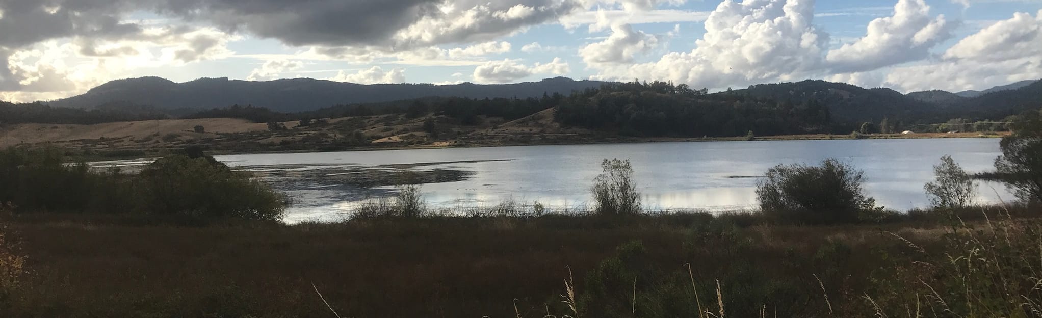 Ford's Pond Path : 132 Reviews, Map - Oregon | AllTrails