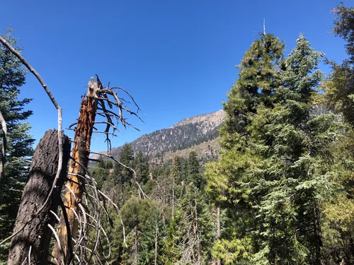 10 Best Trails and Hikes in Forest Falls | AllTrails