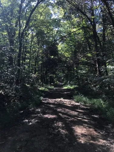 Best Horseback Riding Trails in Mammoth Cave National Park | AllTrails