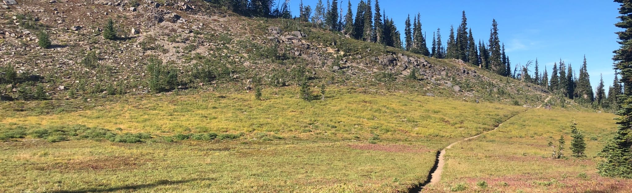 Mount Adams via Divide Camp Trail #112 and PCT - Washington | AllTrails