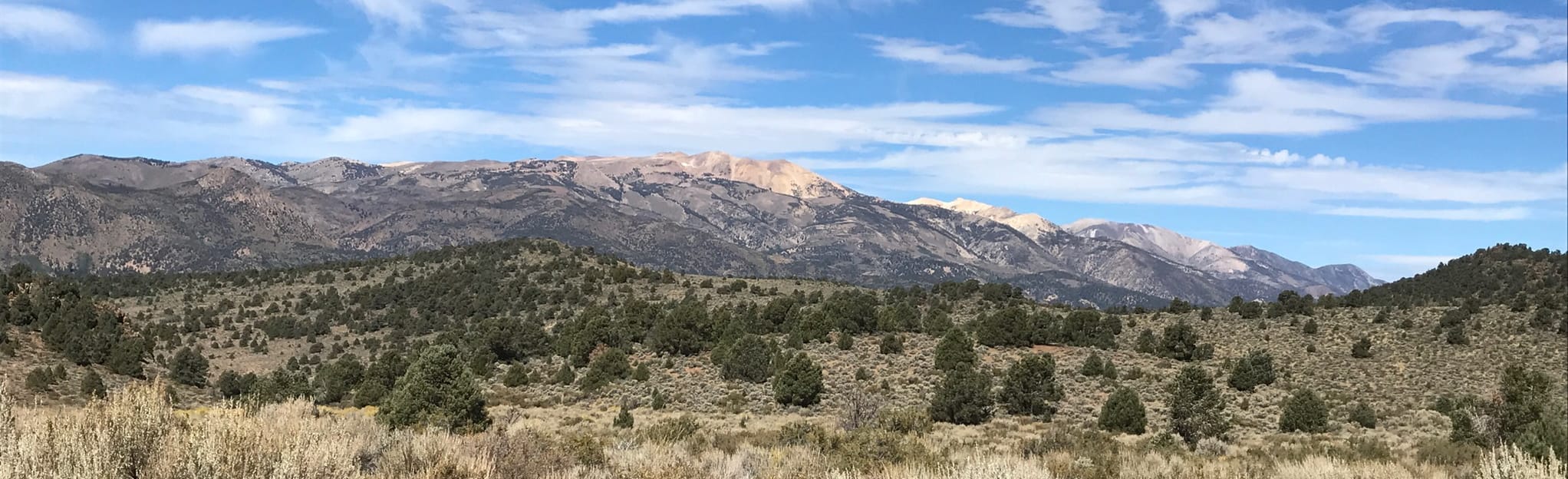 Bodie Ghost Town OHV Trail: 81 Reviews, Map - California | AllTrails