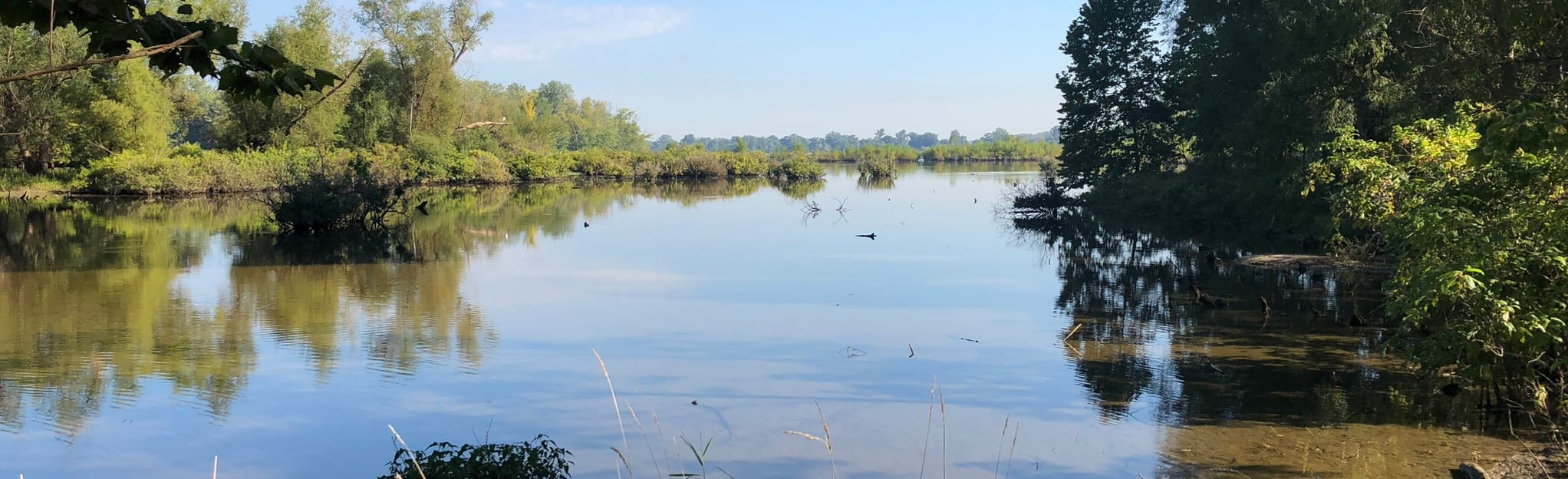 Creve Coeur Lakeview Loop Trail, Missouri - 1,701 Reviews, Map | AllTrails