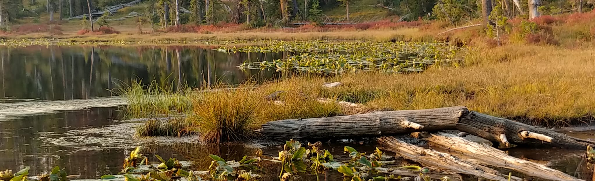 Hidden Lake via Duck Lake Trail 210: 5 Reviews, Map - Utah | AllTrails
