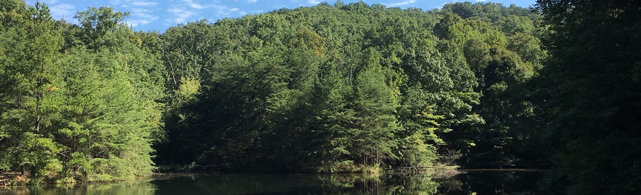 Mitchell Lake Loop, Kentucky - 330 Reviews, Map | AllTrails