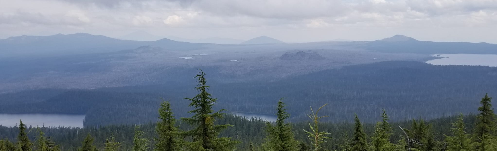 Waldo Mountain Trail #3592: 6 Reviews, Map - Oregon | AllTrails