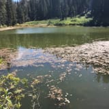 Round Lake Trail, California - 183 Reviews, Map | AllTrails