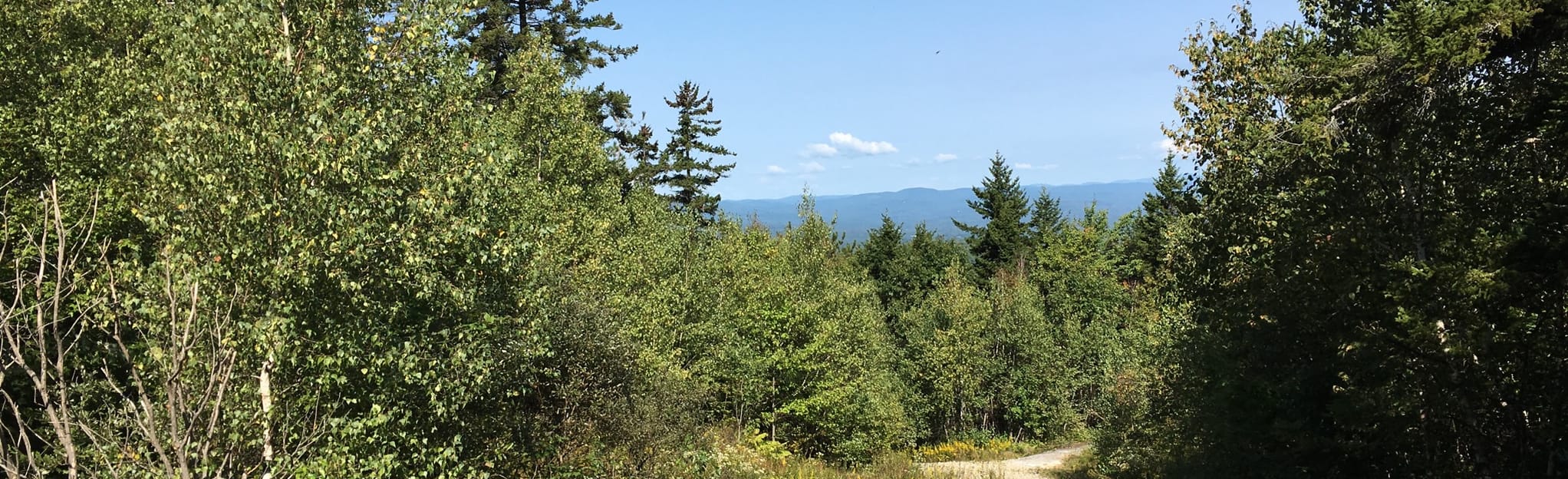 Holt Peak and Burton Peak via Wapack Trail: 834 foto's - New Hampshire ...