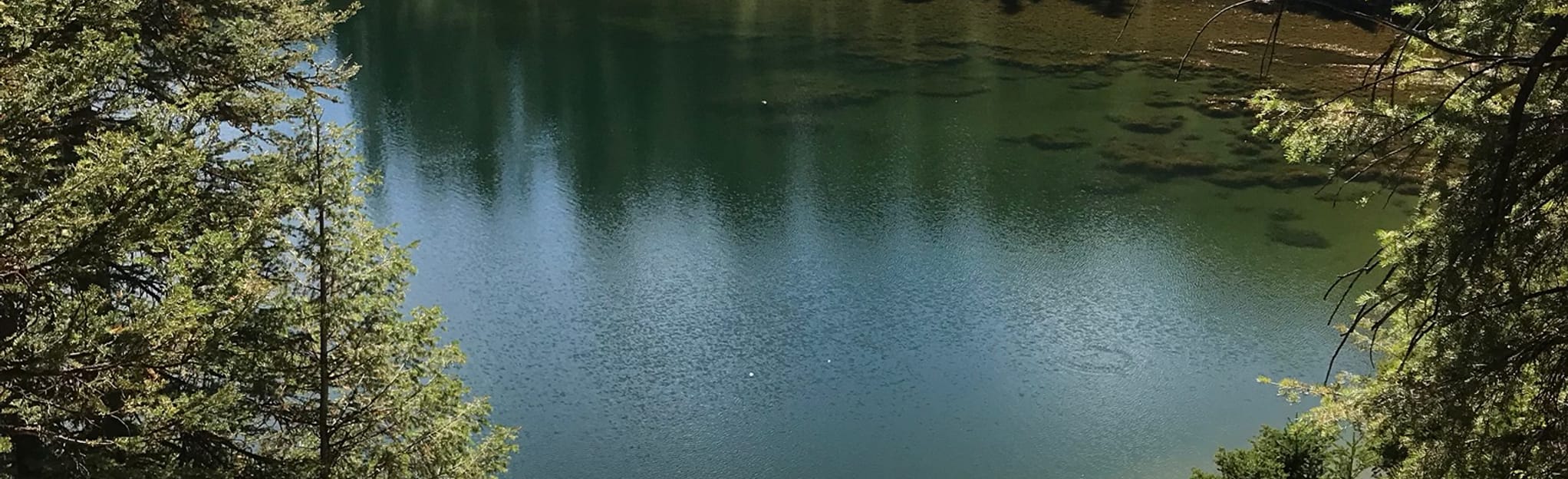 Packsaddle Lake Trail, Idaho - 112 Reviews, Map | AllTrails