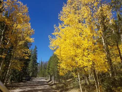 Best Easy Trails in Red Feather Lakes | AllTrails