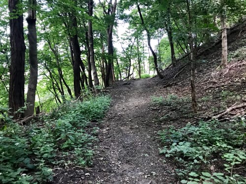 Best Hikes and Trails in Emerald View Park | AllTrails