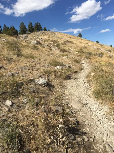 10 Best Hikes and Trails in Mount Helena City Park | AllTrails