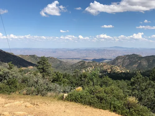 10 Best Trails and Hikes in Kingman | AllTrails