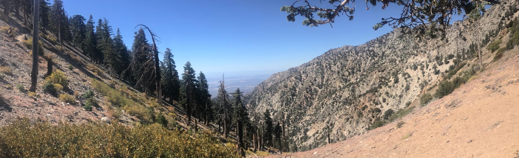 Joe Elliot Tree Memorial via Icehouse Canyon Trail to Cucamonga Peak ...