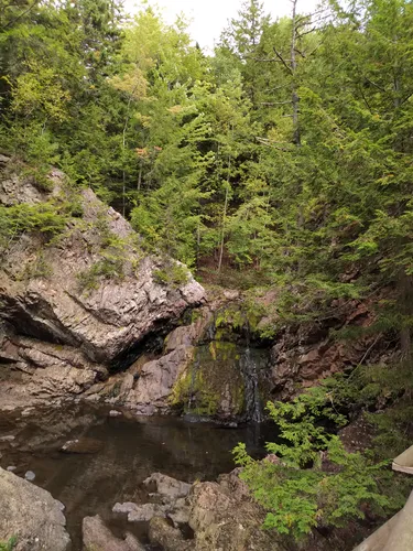 Best Hikes and Trails in Victoria Park | AllTrails