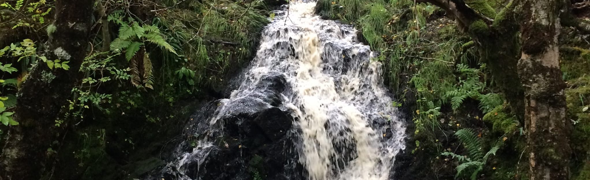 Commando Memorial, Highlands, Scotland - 20 Reviews, Map | AllTrails