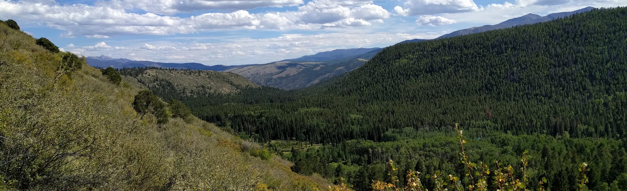 Fooses Creek Trailhead to Shavano Trailhead via Colorado Trail | Map ...