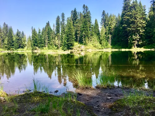 10 Best Trails and Hikes in Longmire | AllTrails