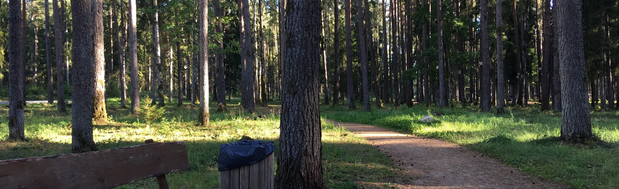 Broceni Forest Park Nature Paths: 1 Reviews, Map - Courland, Latvia ...