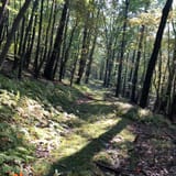 Rose Trail, Pennsylvania - 8 Reviews, Map | AllTrails