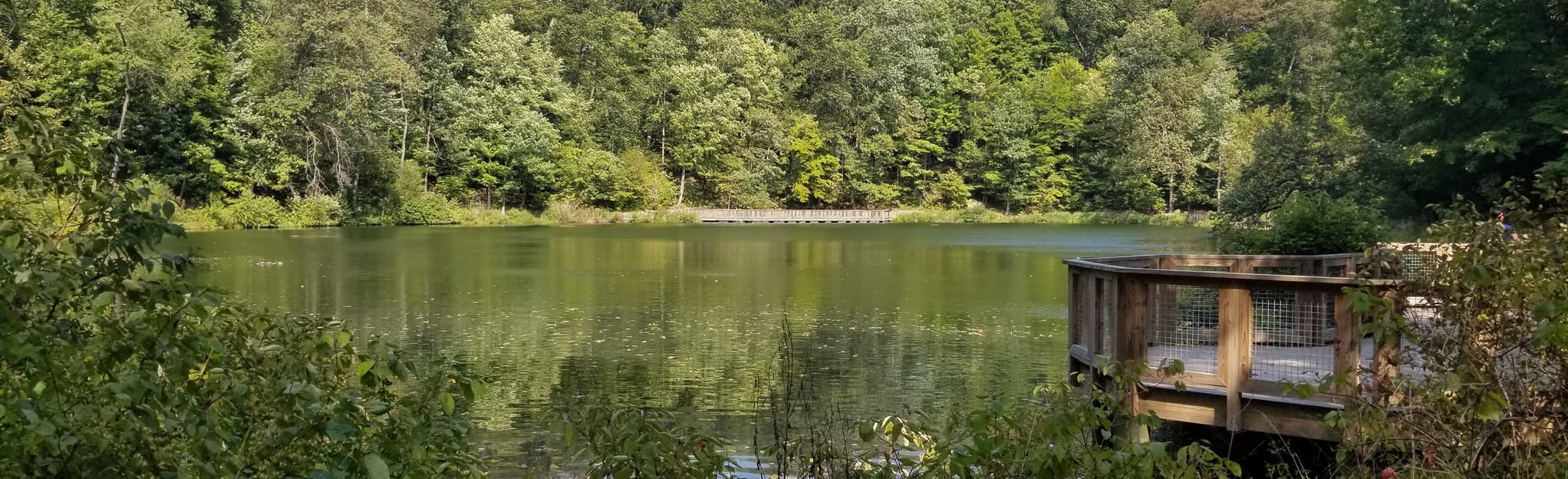 One Way Drive, Lily Pond, and Old Tree Trail Loop - Ohio | AllTrails