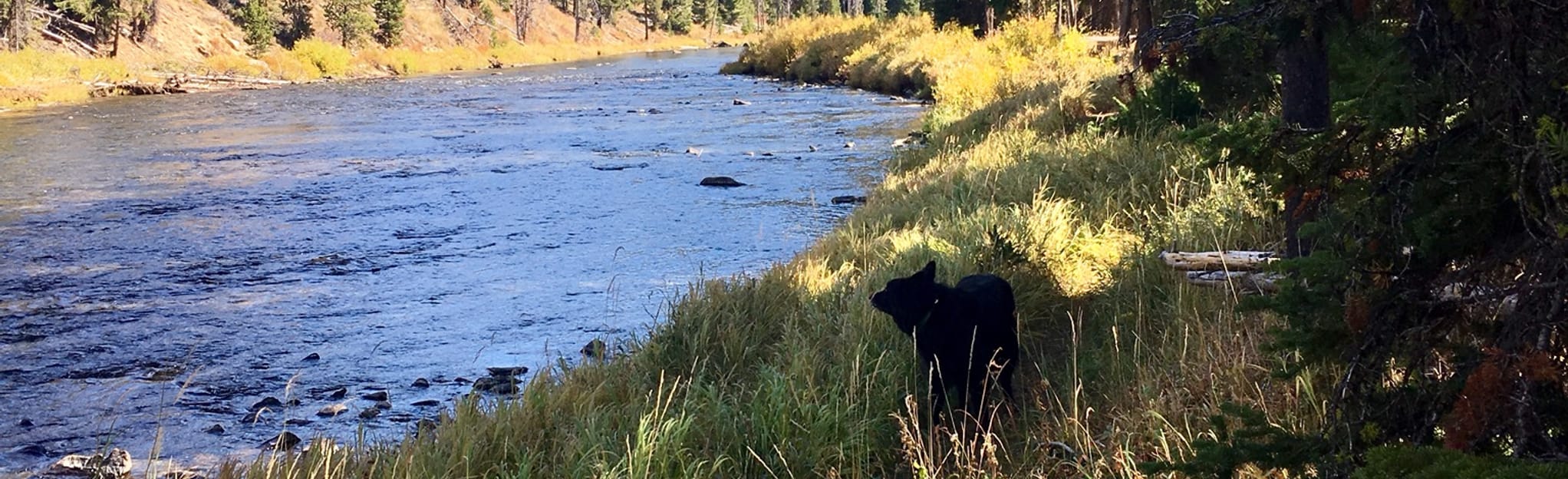 Bear Valley Hot Springs from Fir Creek Campground, Idaho - 42 Reviews ...