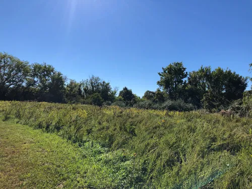 Best Hikes and Trails in William Landahl Park | AllTrails