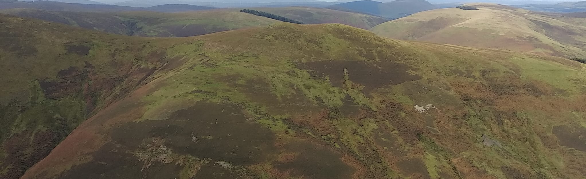 Coulter Fell Circular: 44 Reviews, Map - South Lanarkshire, Scotland ...