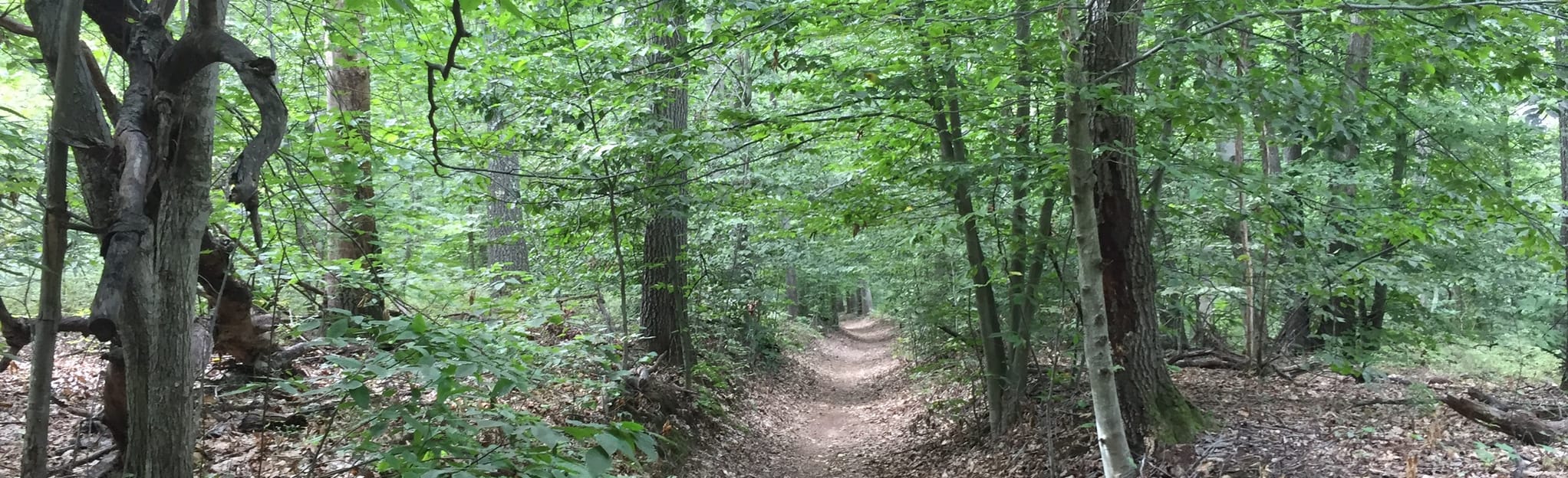 River Highlands Red and Green Trail Loop: 198 Reviews, Map ...