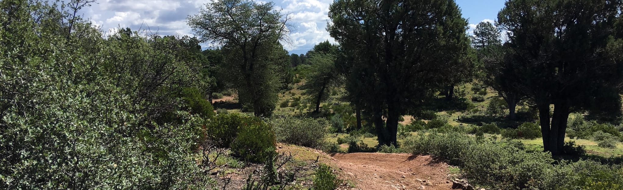 Houston Loop Trail: 97 Reviews, Map - Arizona | AllTrails