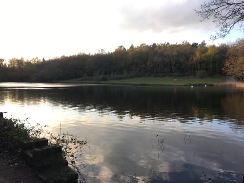 2023 Best Walking Trails in Sutton Park | AllTrails