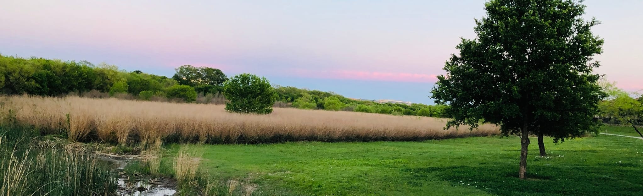 Campion Trail: 961 Reviews, Map - Texas | AllTrails