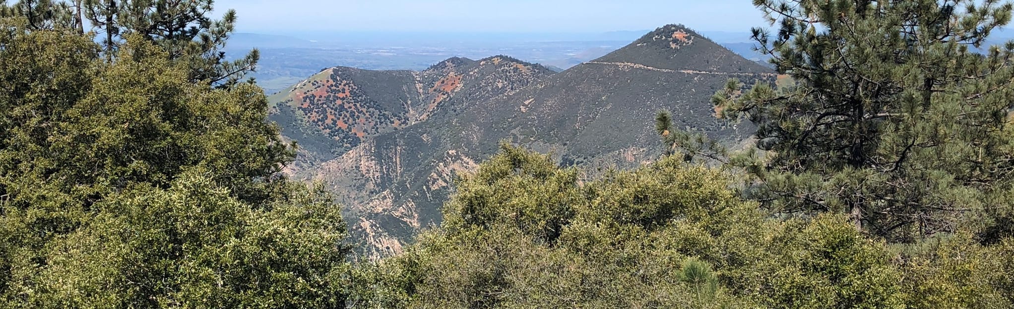 Figueroa Mountain, Davey Brown, Willow Spur and 8N16, California - 22 ...