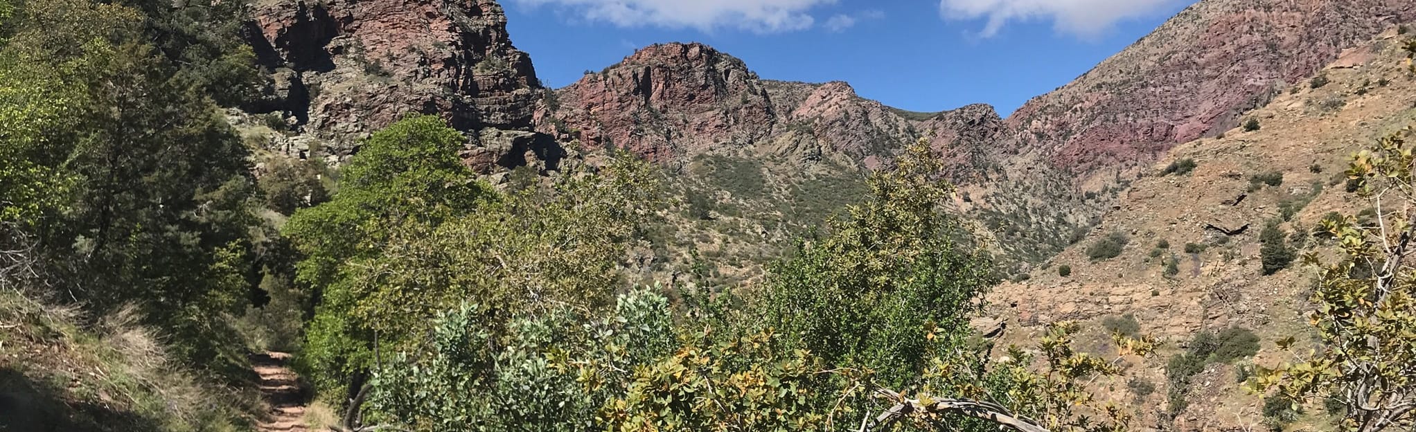 Y Bar Trail (#44) and Barnhardt Trail (#43) Loop, Arizona - 109 Reviews ...